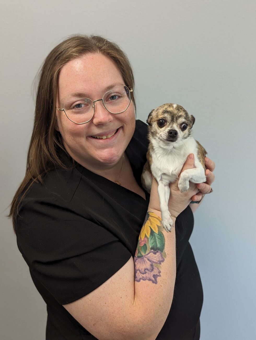 Sioux City, IA 51106 Veterinarians - Elk Creek Animal Hospital